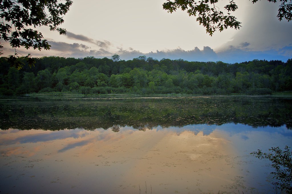 Minnesota’s Lake Alice Drains in Days After Valve Failure, Leaving Dead ...